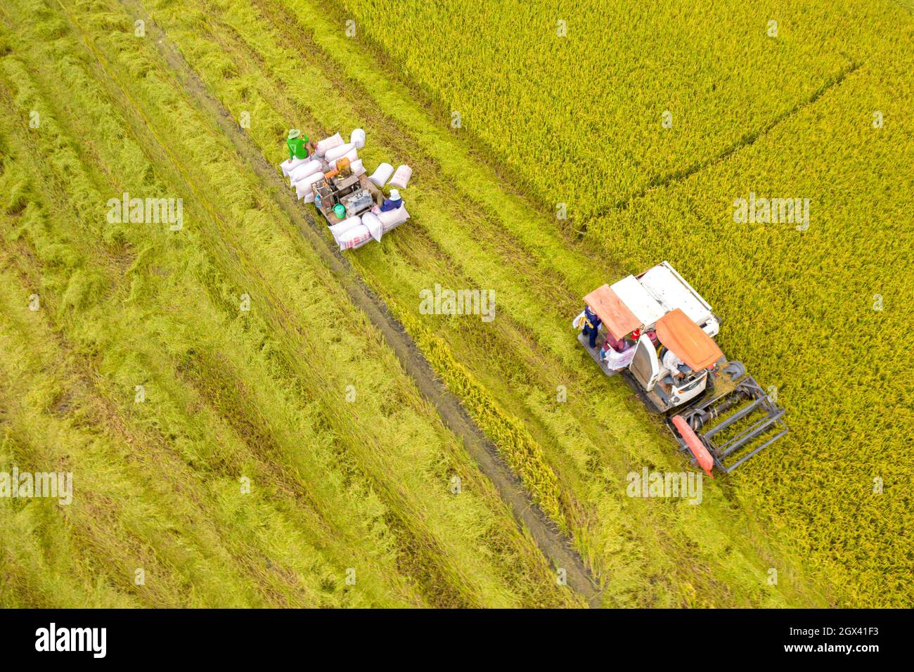 Vietnam winter hi-res stock photography and images - Alamy