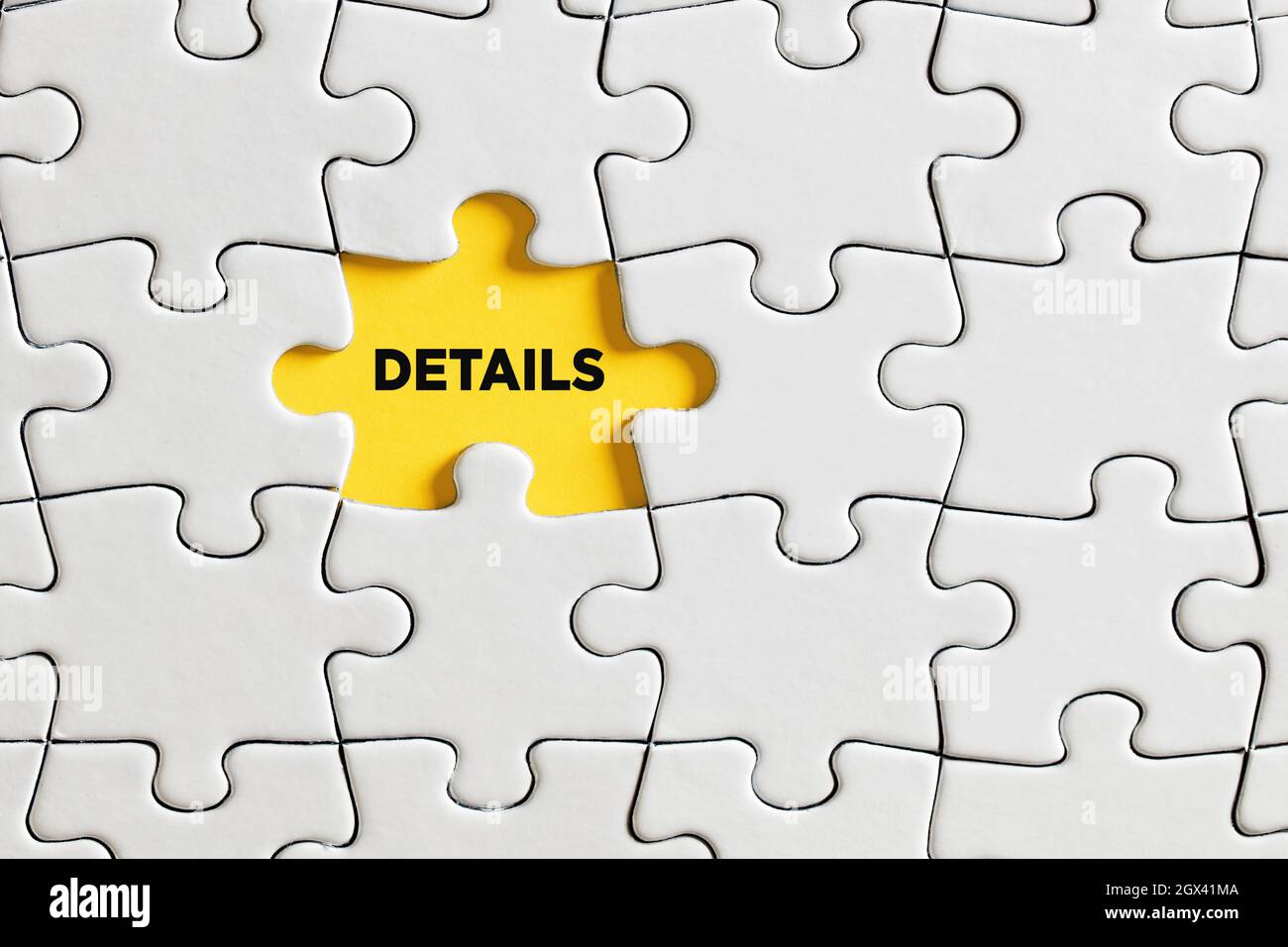 The word details written on missing puzzle piece. To examine, expose ...