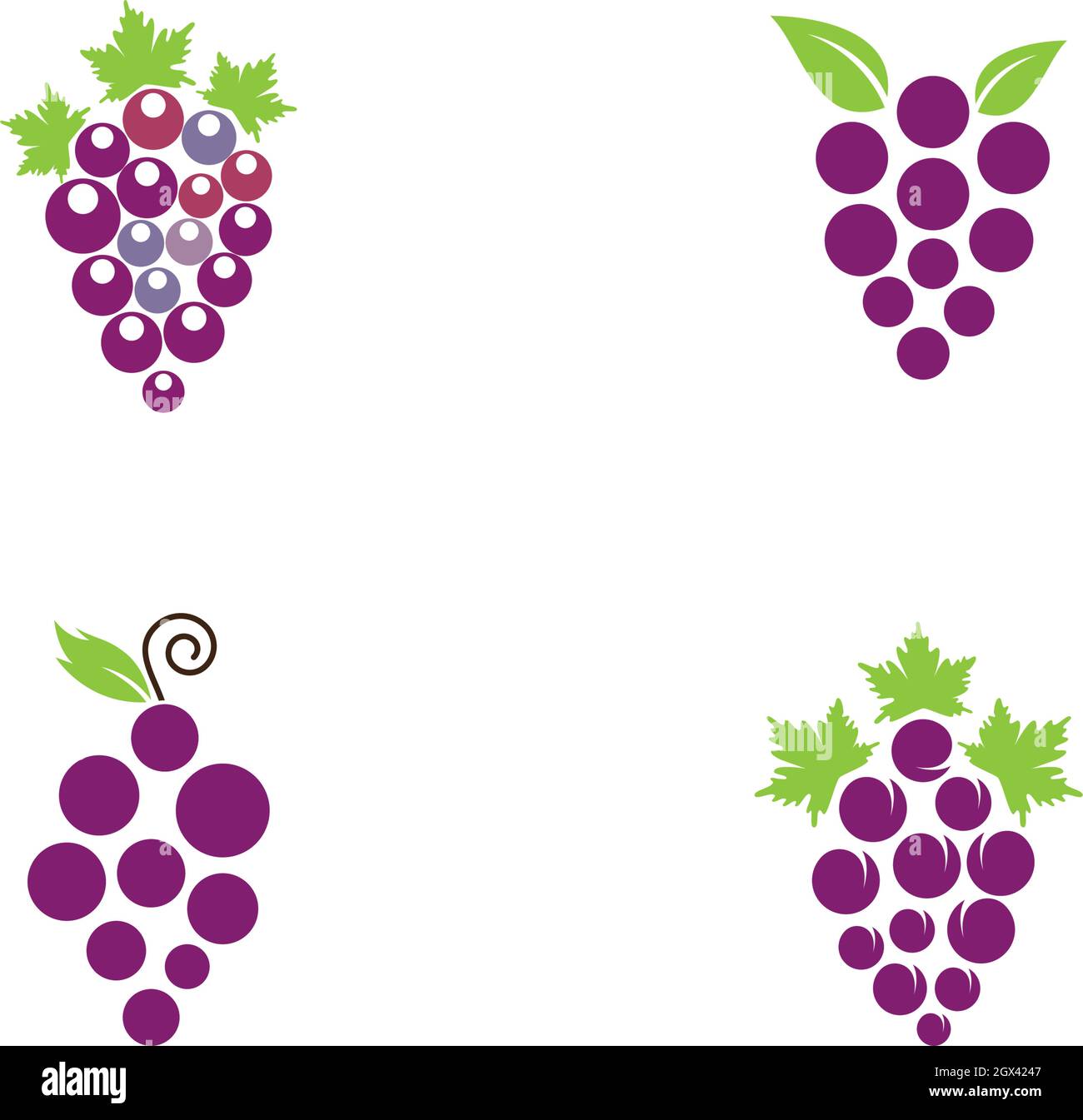 Grape with leaf icon vector template Stock Vector Image & Art - Alamy
