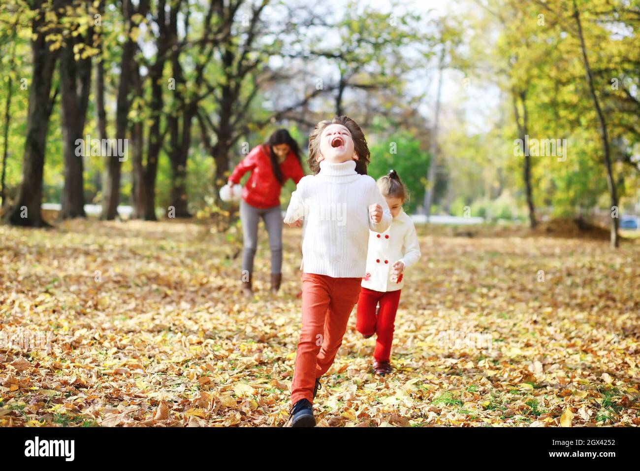 Children for a walk in autumn park. Leaf fall in the park. Family. Fall ...