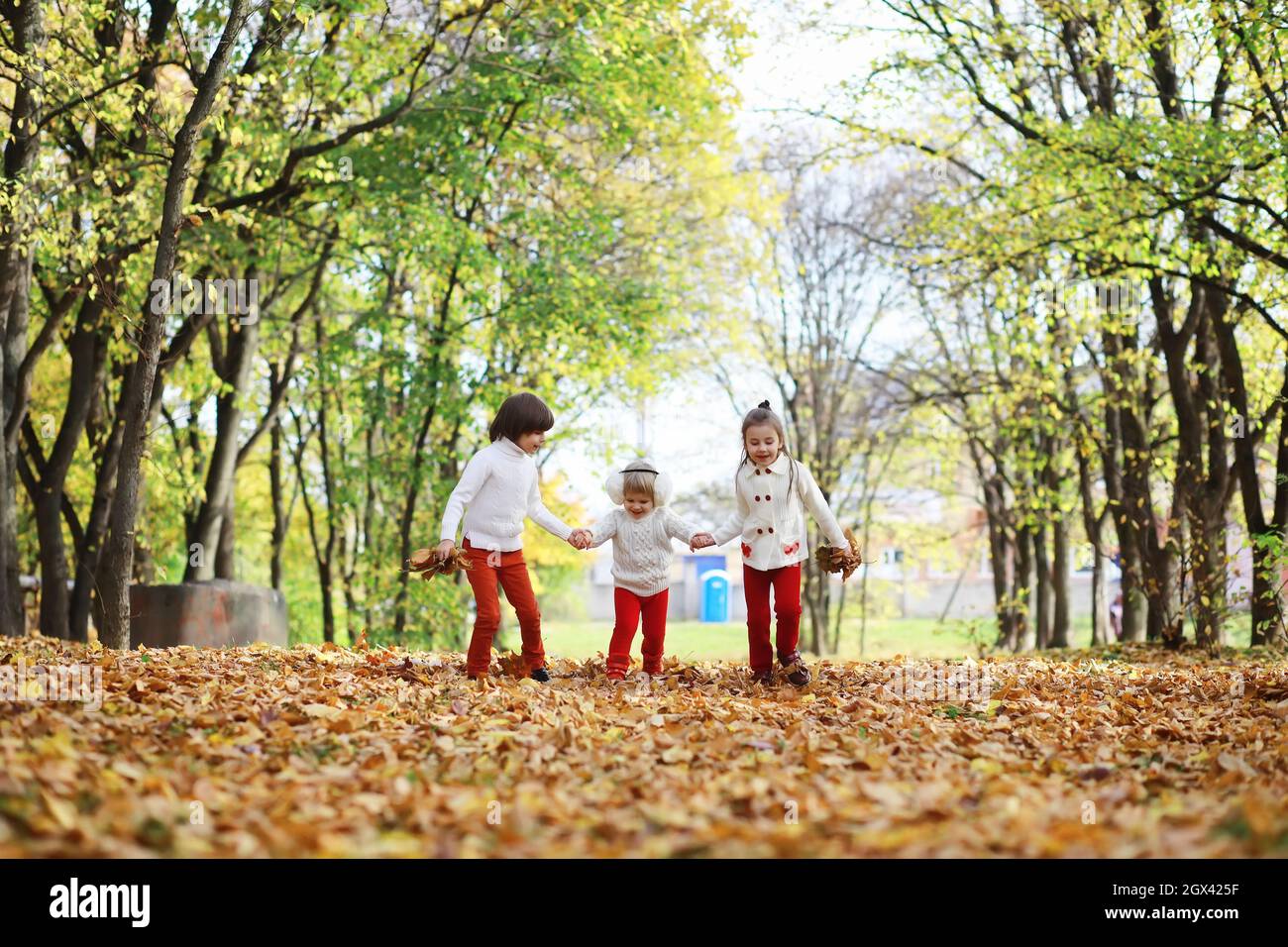 Children for a walk in autumn park. Leaf fall in the park. Family. Fall ...