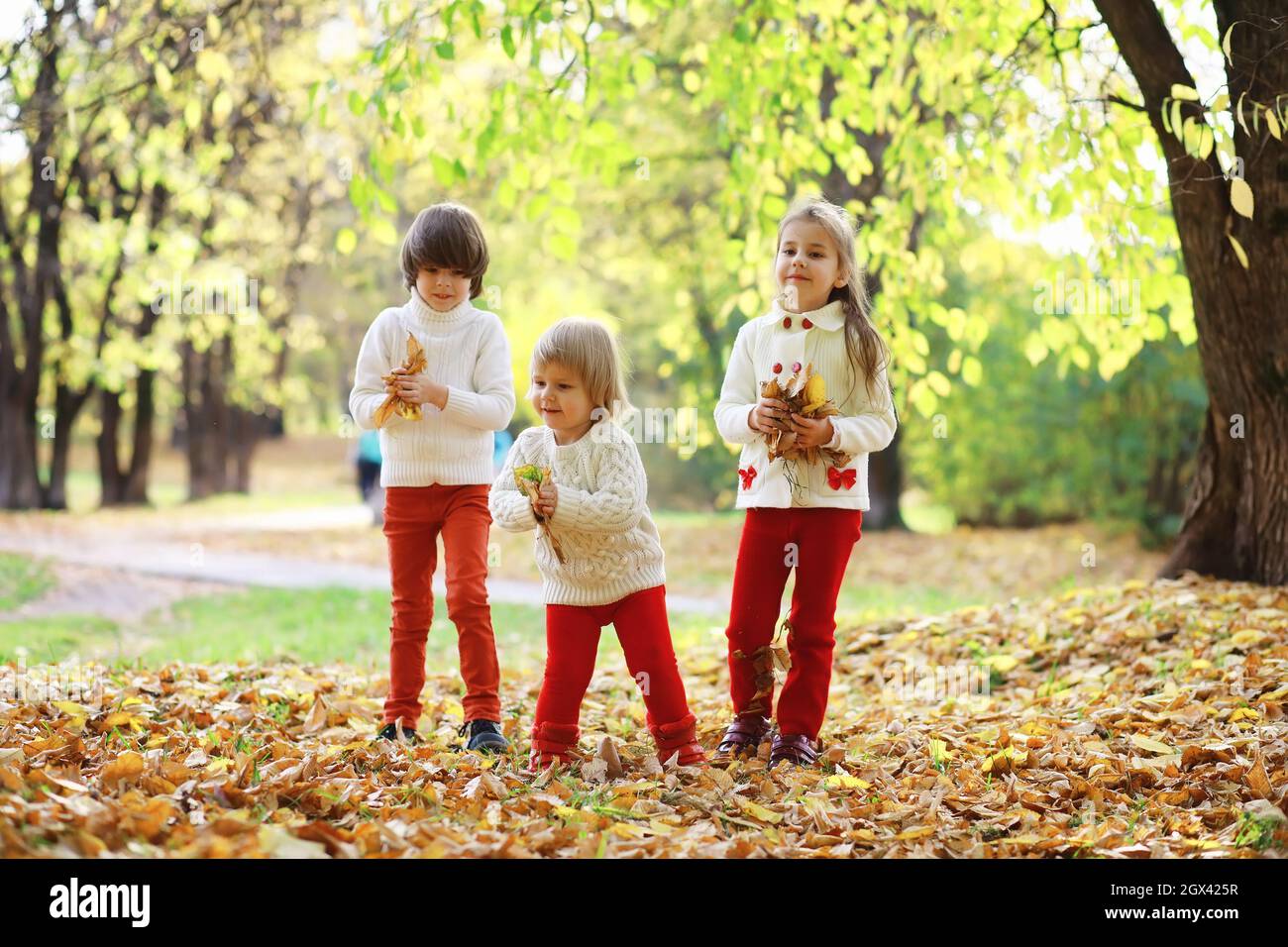 Children for a walk in autumn park. Leaf fall in the park. Family. Fall ...