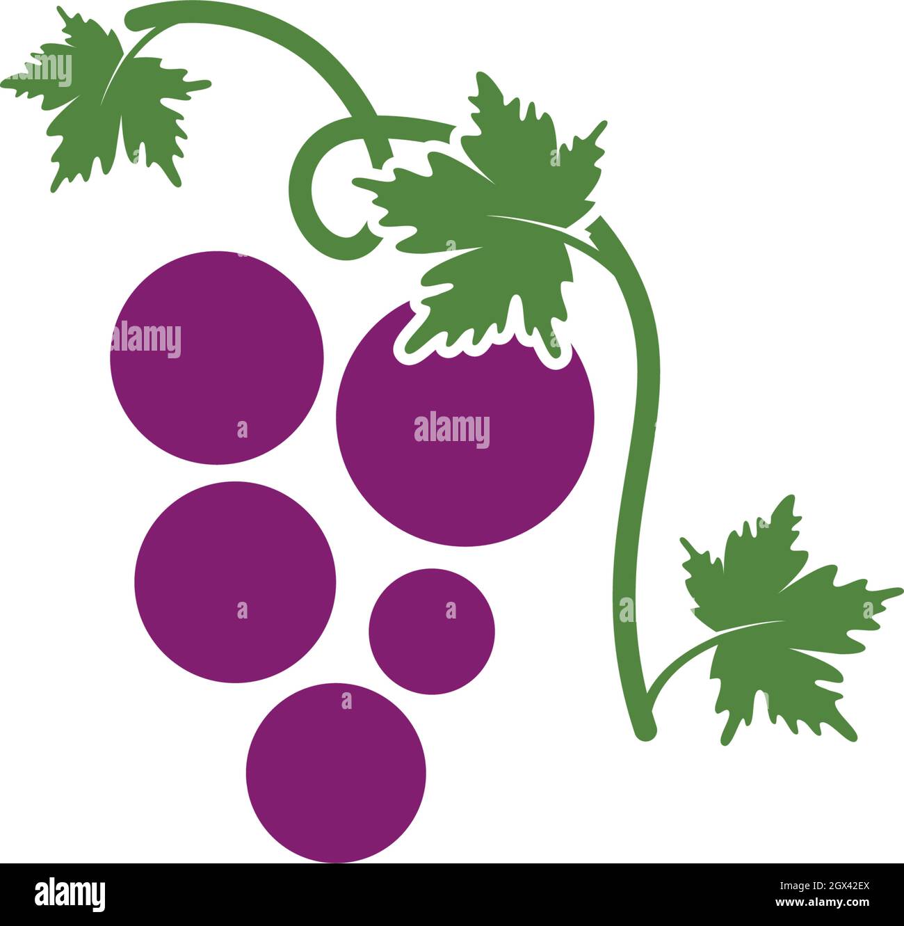 Grape with leaf icon vector template Stock Vector Image & Art - Alamy