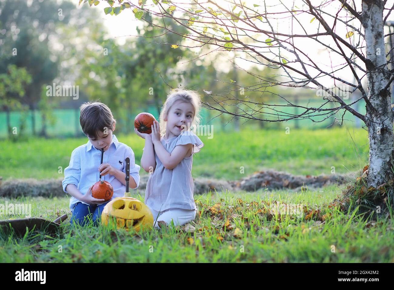 Autumn traditions and preparations for the holiday Halloween. A house ...