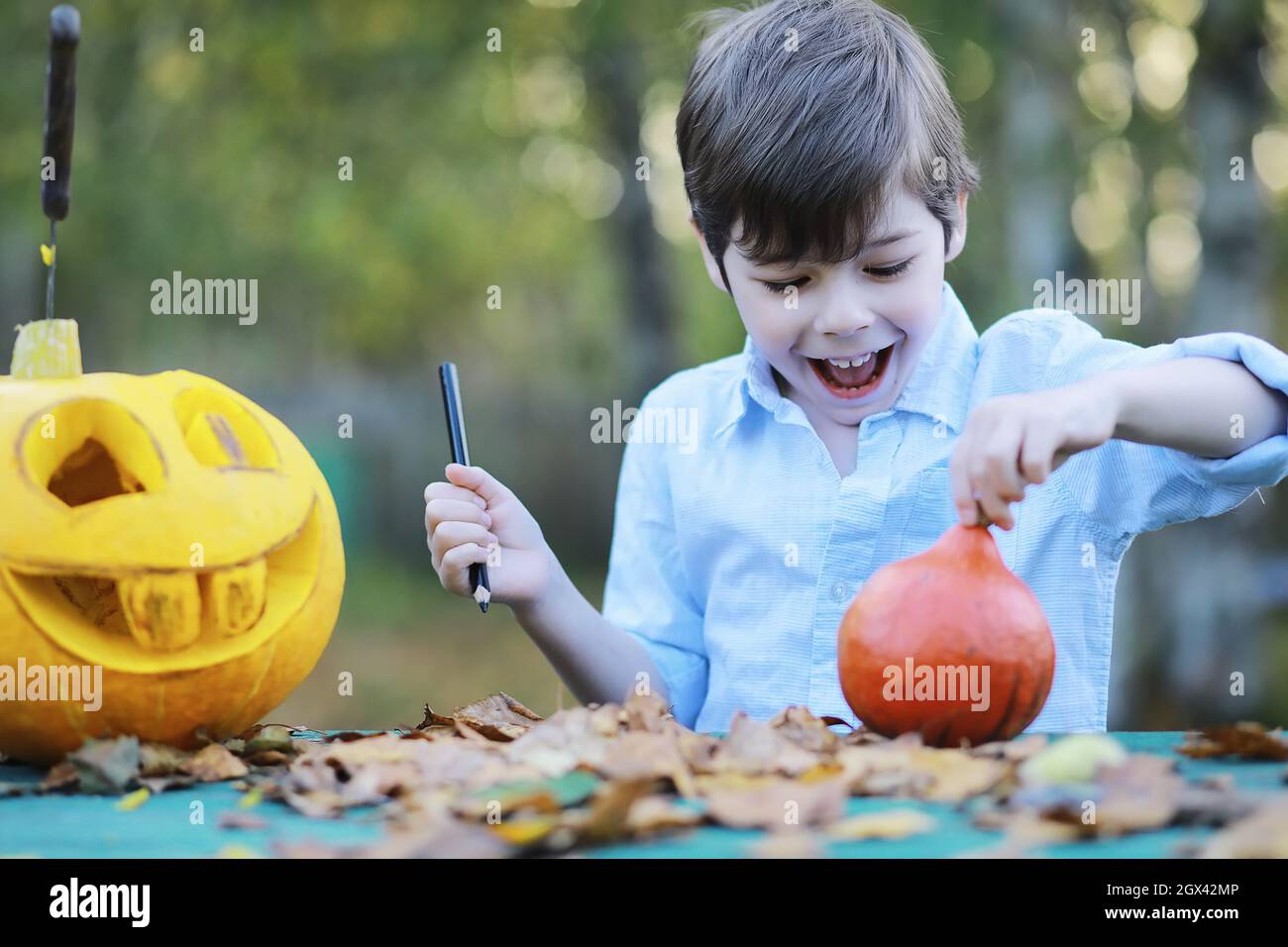 Autumn traditions and preparations for the holiday Halloween. A house ...