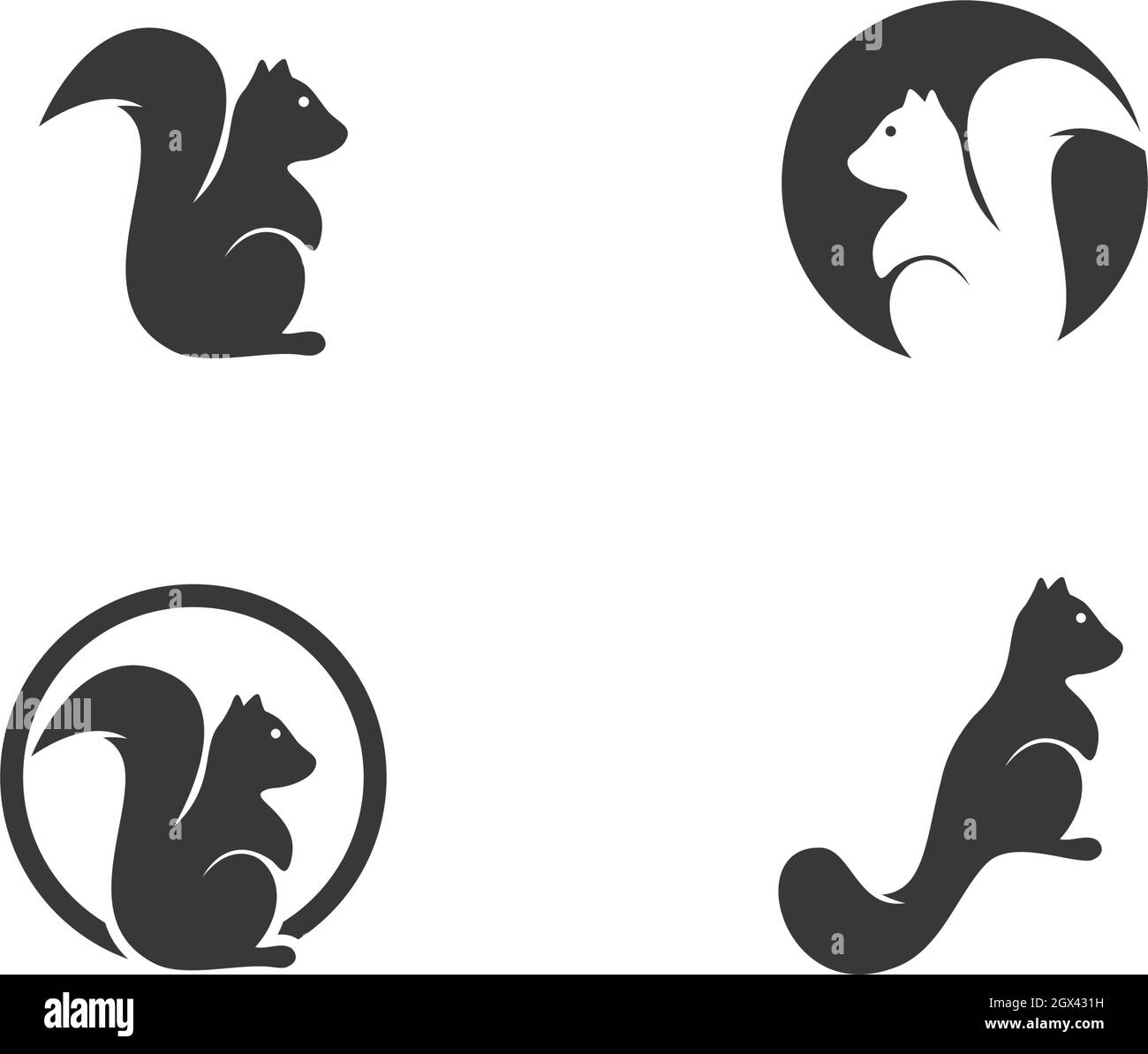 squirrel logo vector icon Stock Vector Image & Art - Alamy