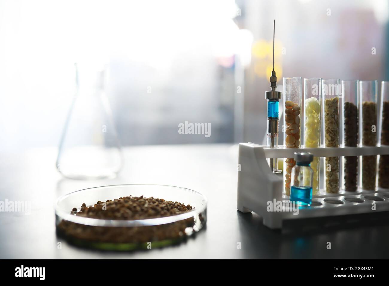 Test tubes with seeds of selection plants. Research Analyzing ...