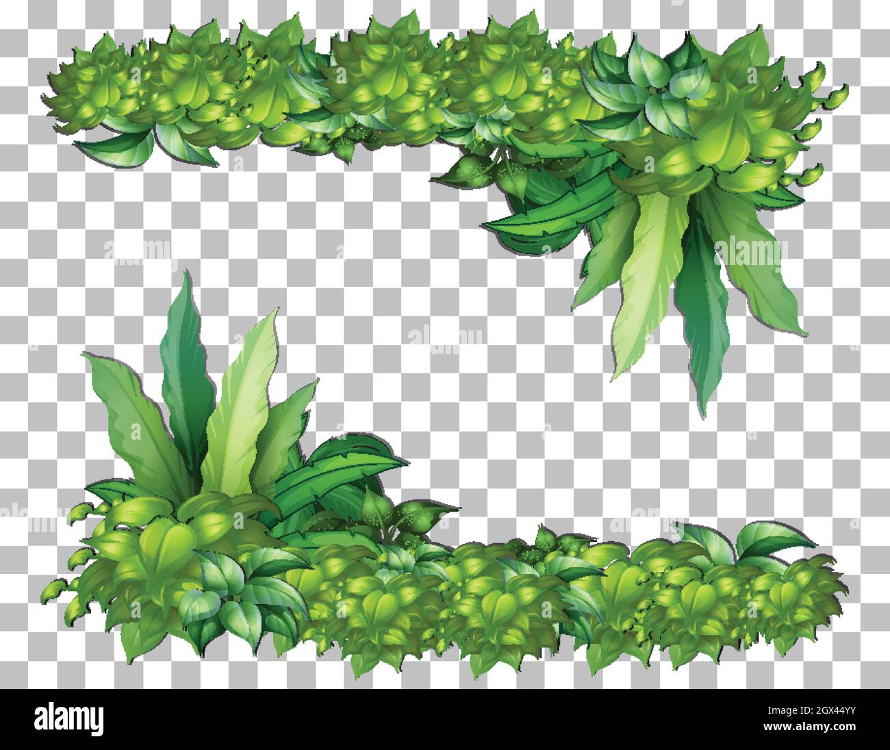 Nature plants frame transparent background illustration Stock Vector ...