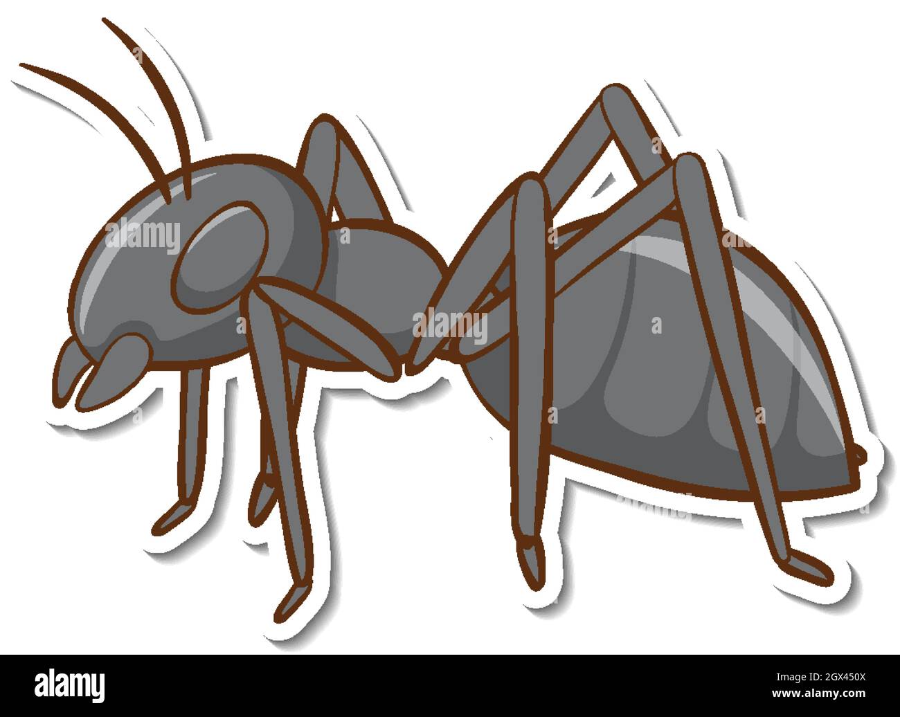 Ant zoom Cut Out Stock Images & Pictures - Alamy