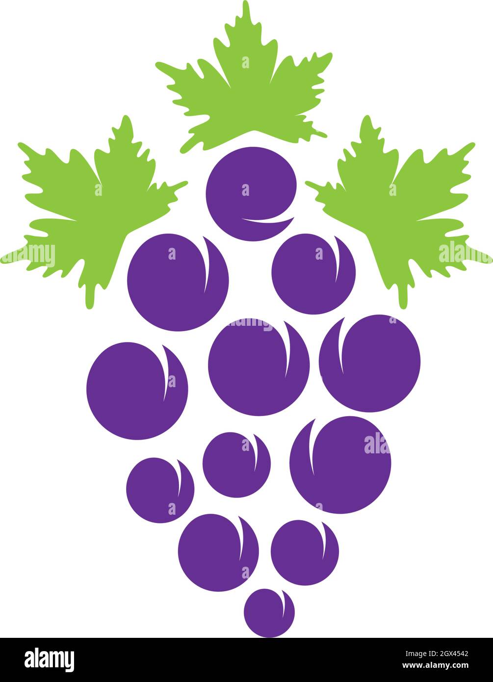 Grape with leaf icon vector template Stock Vector Image & Art - Alamy