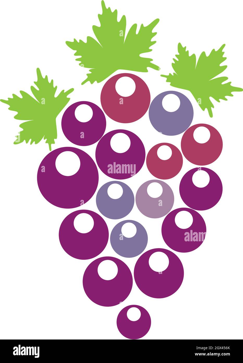 Grape with leaf icon vector template Stock Vector Image & Art - Alamy