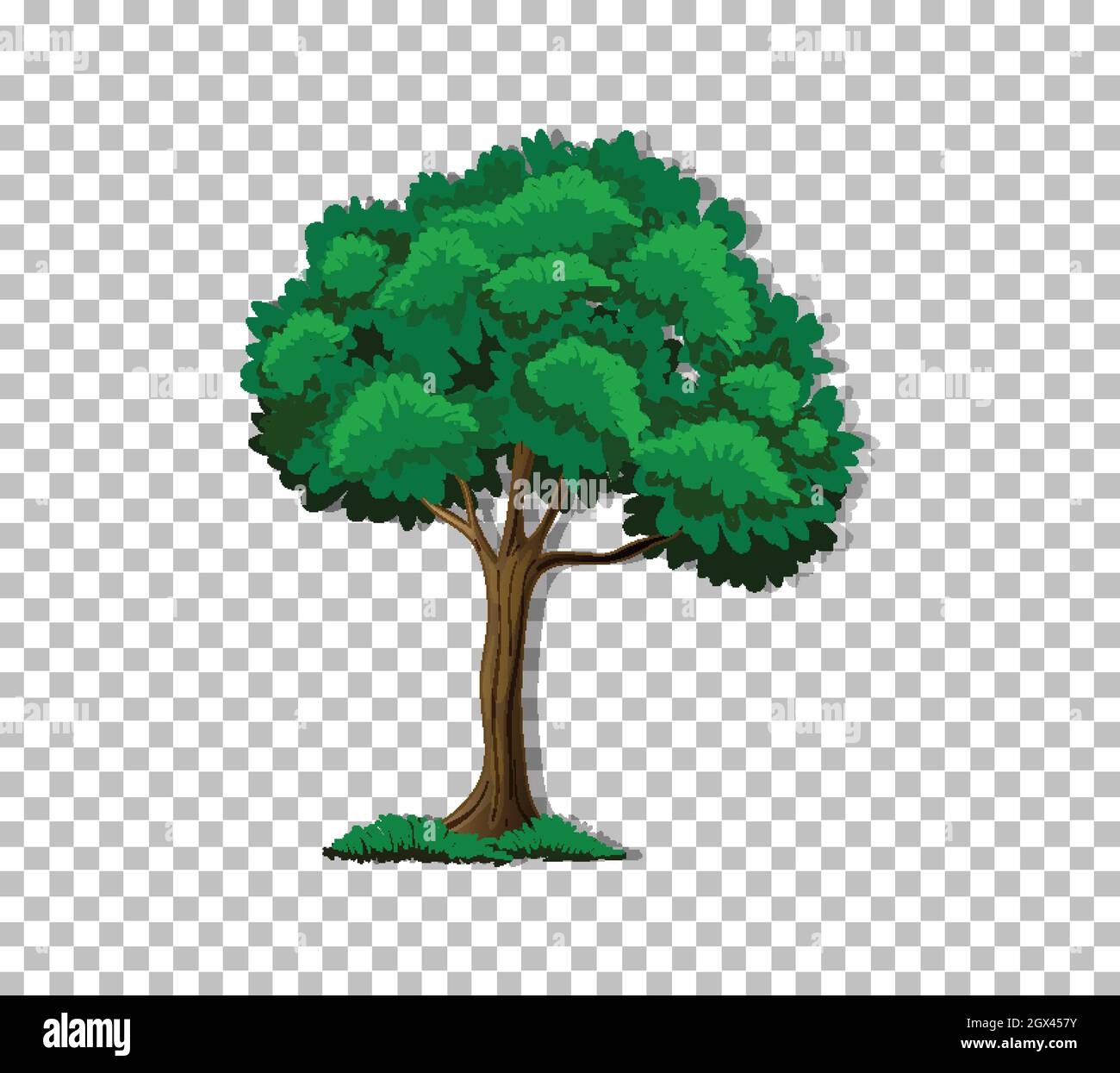 Tree on transparent background illustration Stock Vector Image & Art ...