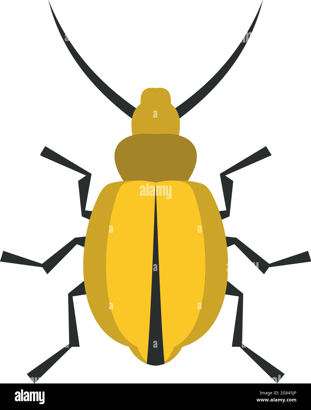 Black and yellow striped beetle Stock Vector Images - Alamy