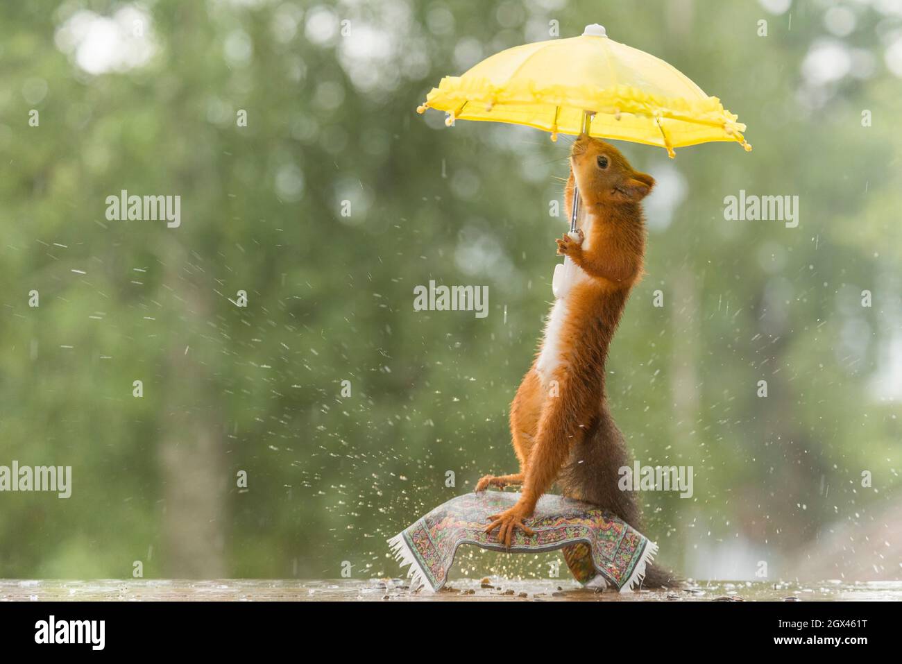 Flying on carpet hi-res stock photography and images - Alamy