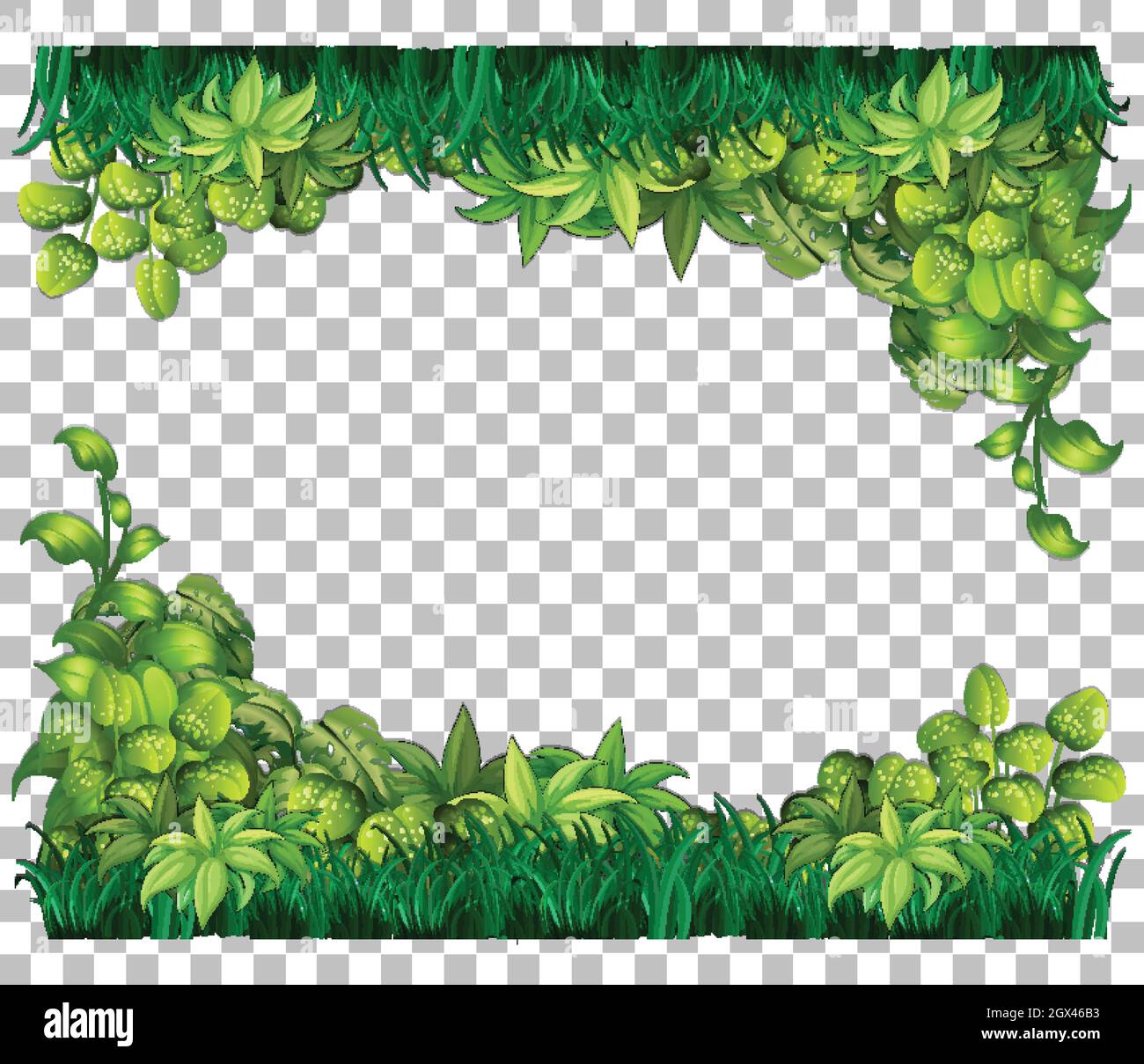 Nature plants frame transparent background illustration Stock Vector ...