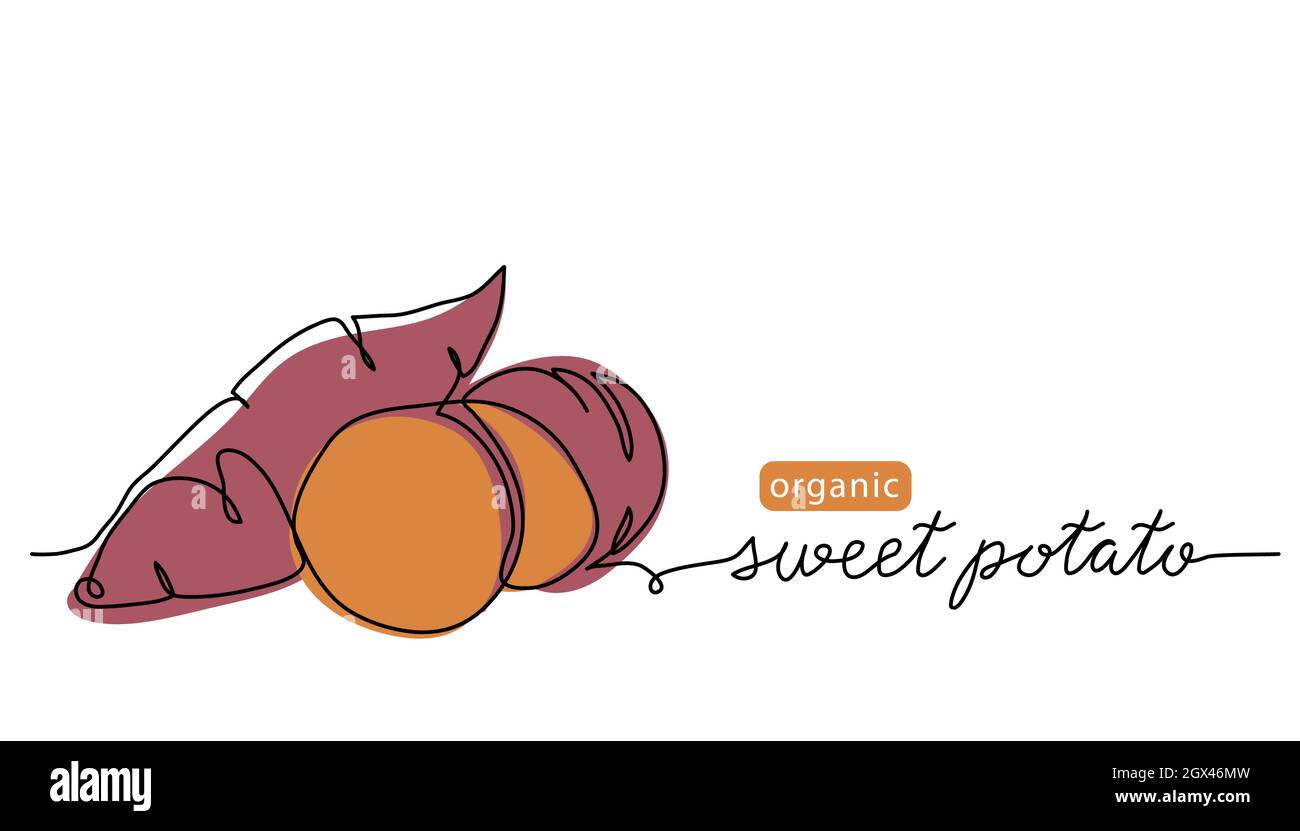 Sweet potato tuber vector illustration. One line art drawing with ...
