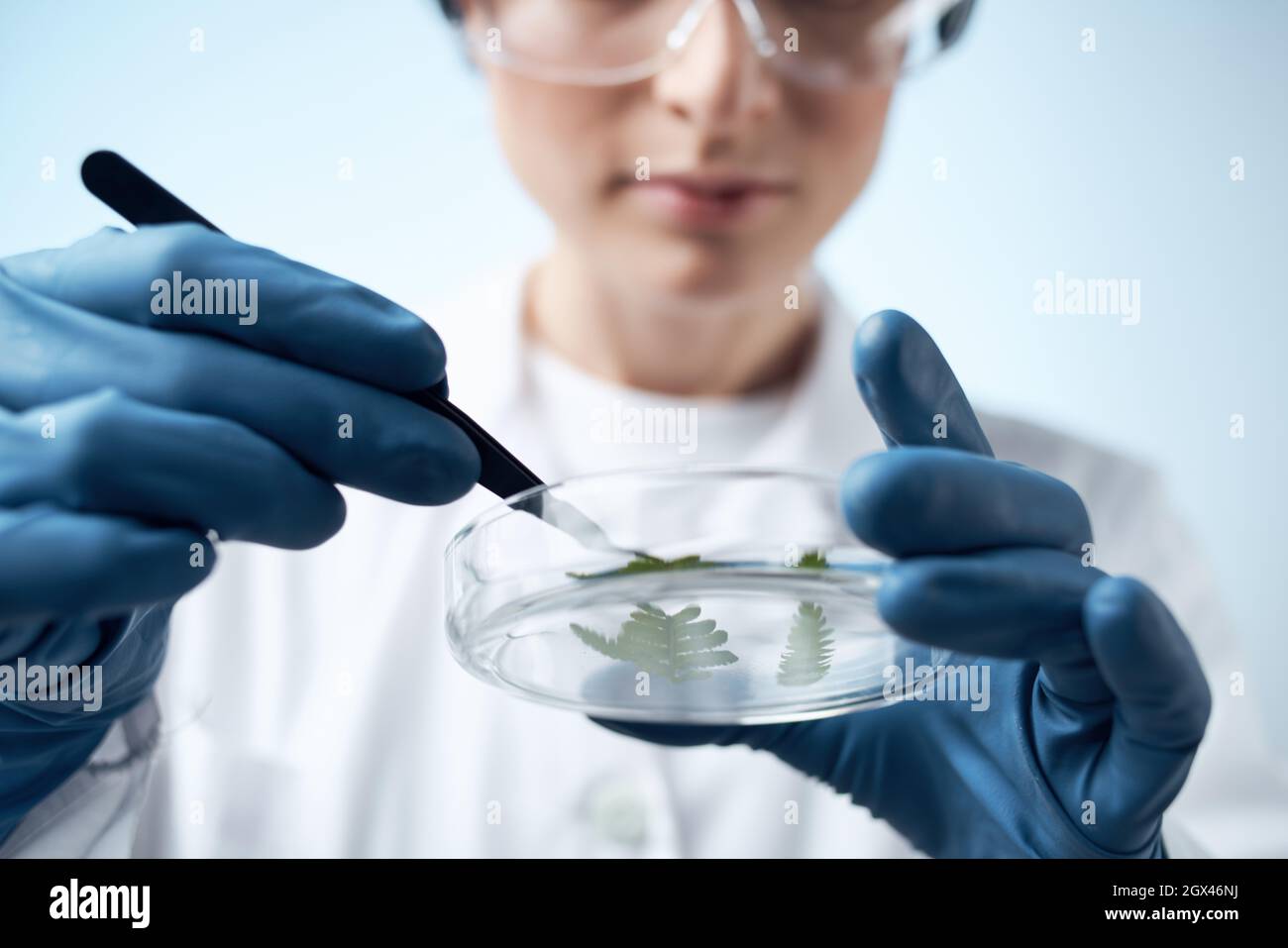 female doctor research biology ecology experiment analysis isolated ...