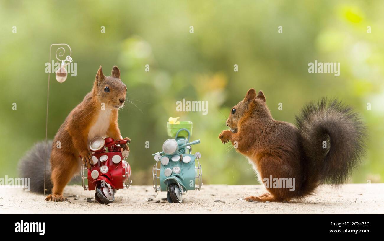 Scooter duo hi-res stock photography and images - Alamy
