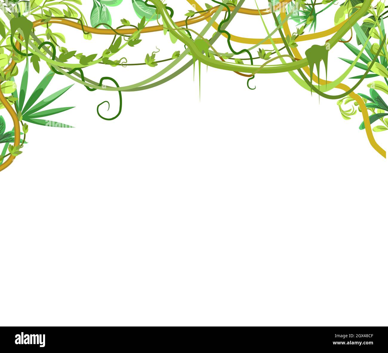 Rainforest canopy. Jungle frame. Branches of tropical trees, grasses ...