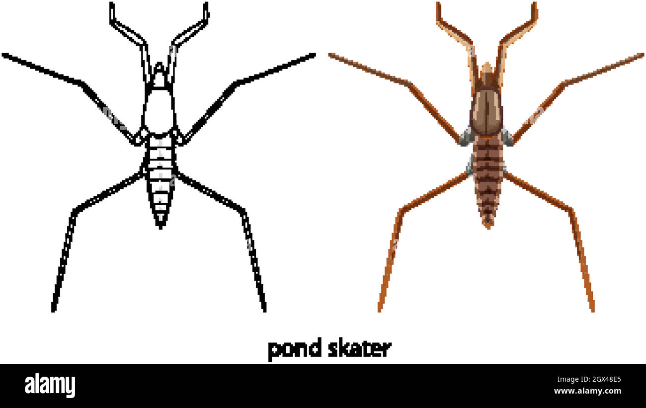 Colour in picture Stock Vector Images - Alamy