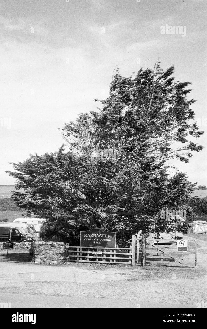 Karrageen campsite hope cove hi-res stock photography and images - Alamy