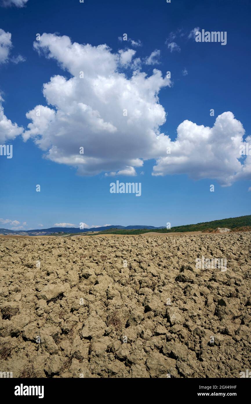Torrenieri (Si),Italy, a landscape of the land with hills Stock Photo ...