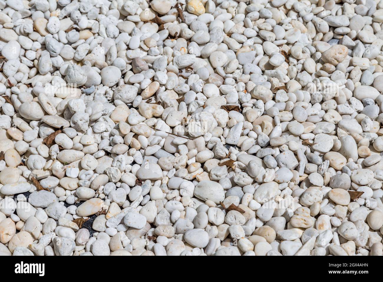 natural polished white river rock pebbles background Stock Photo - Alamy