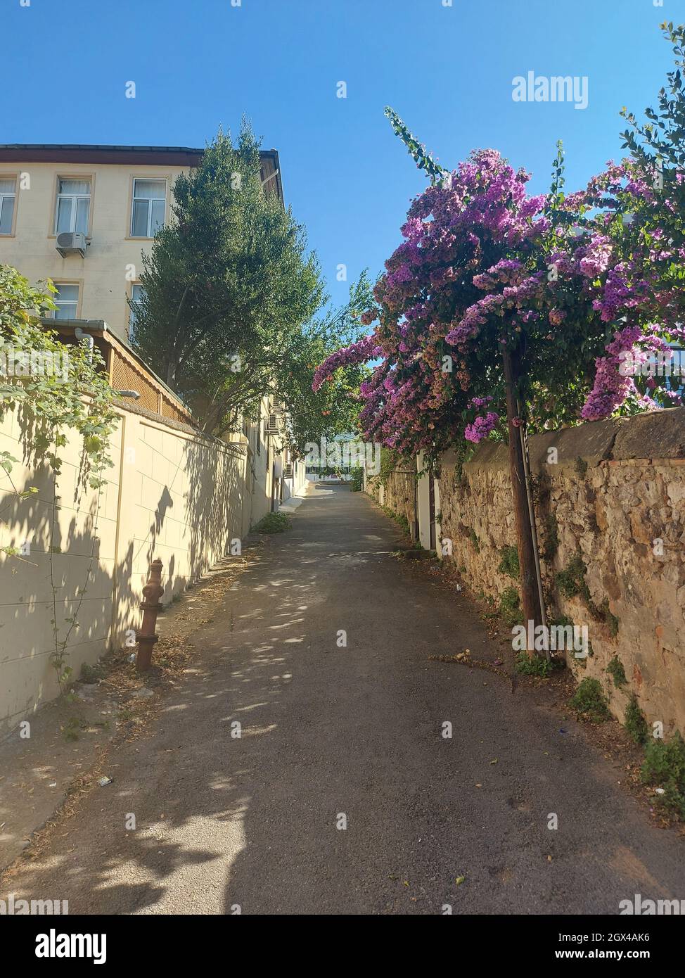 Close up shot of an old and small street in a small and beautiful town ...