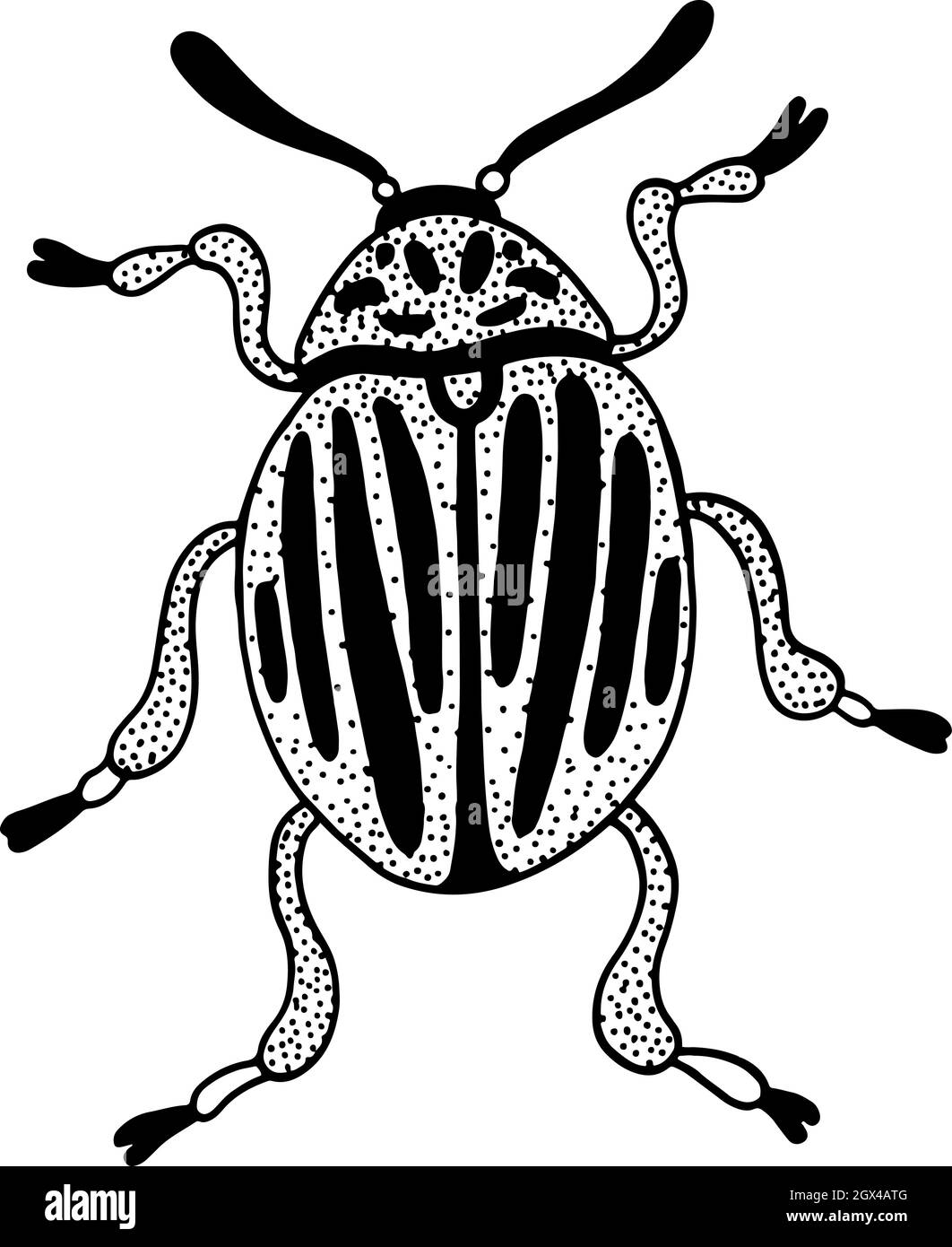 Simple Insect Drawing