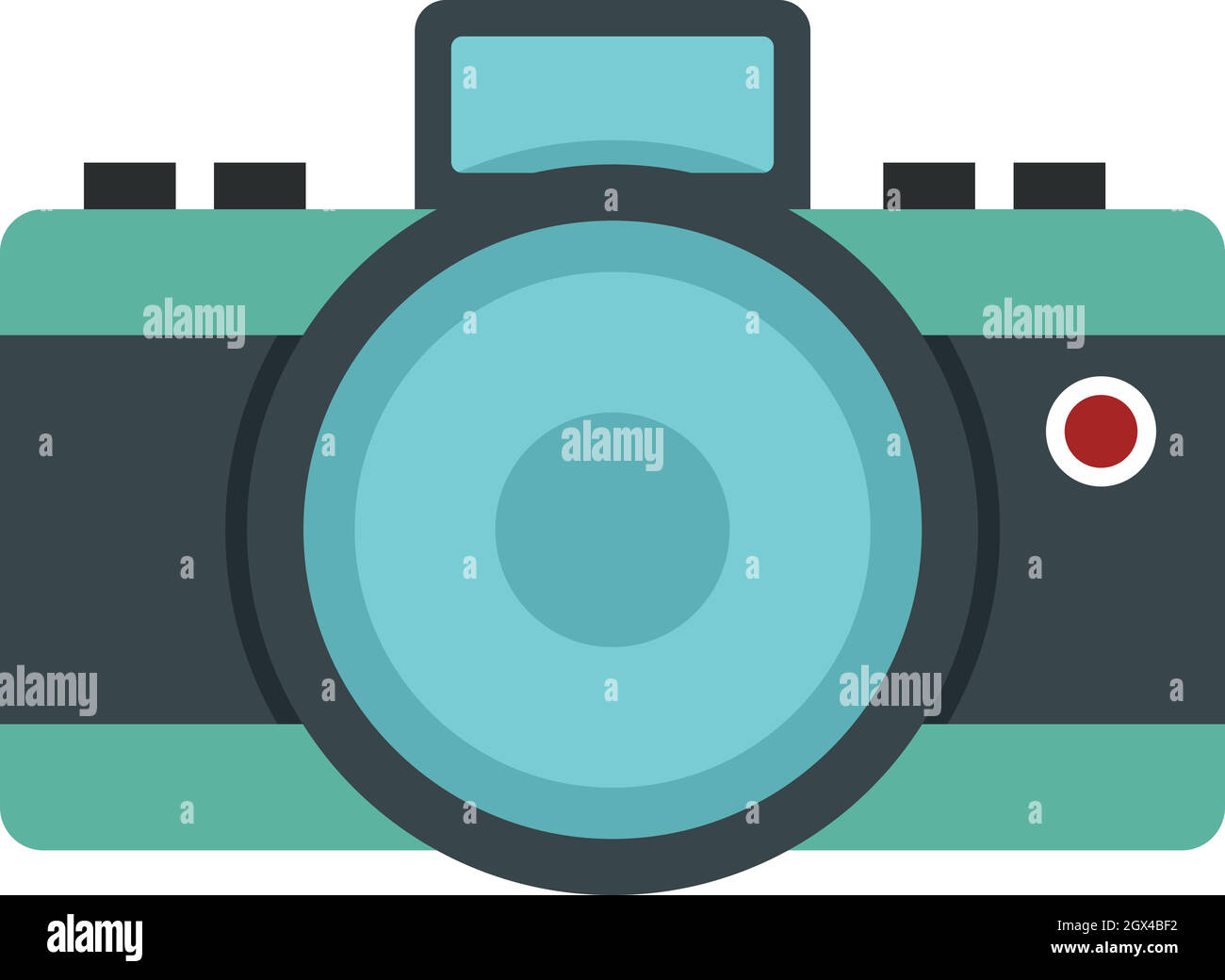 Photocamera icon, flat style Stock Vector Image & Art - Alamy