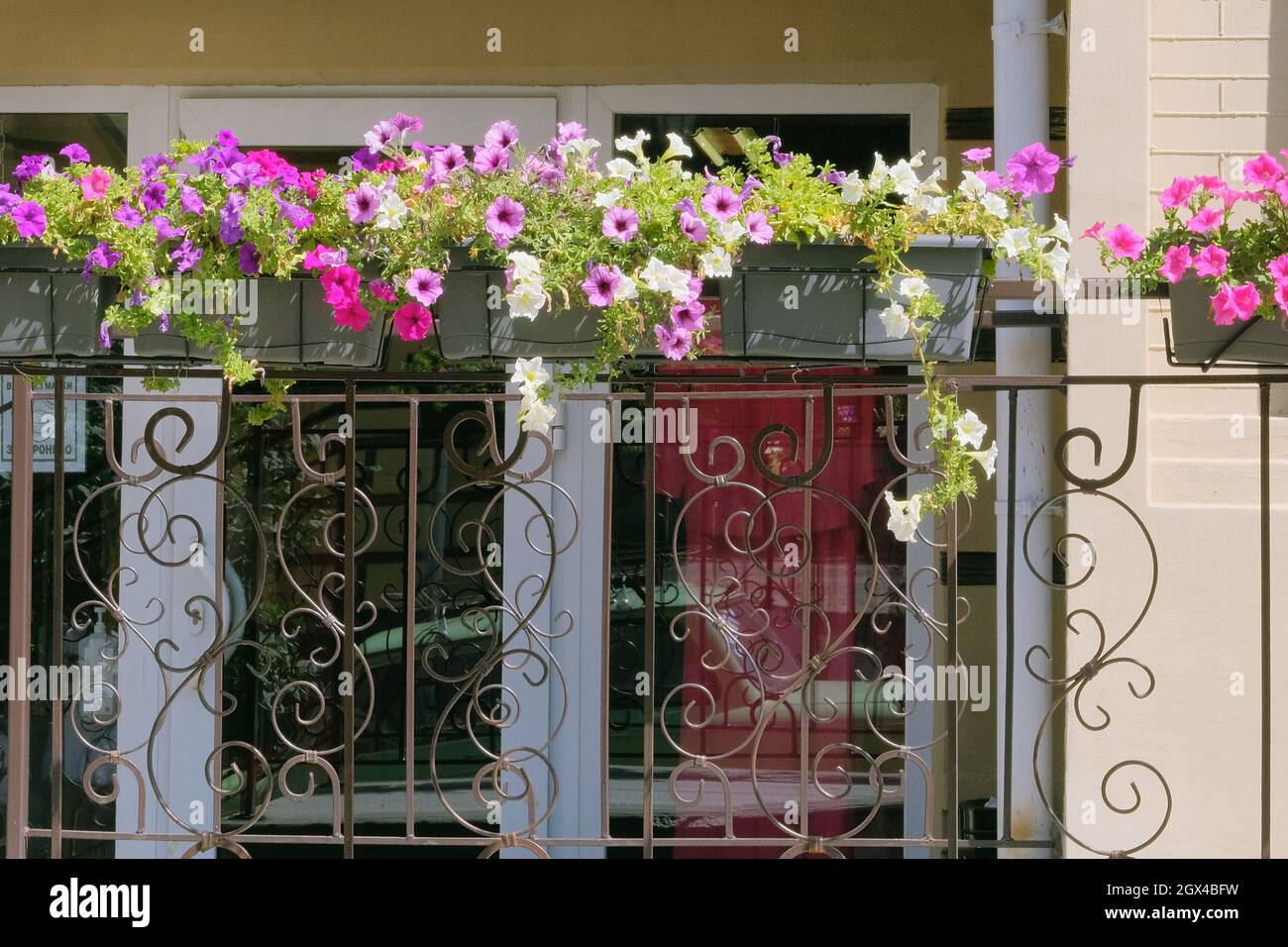 Landscaping and decoration. Blooming flowers in pots on street in ...