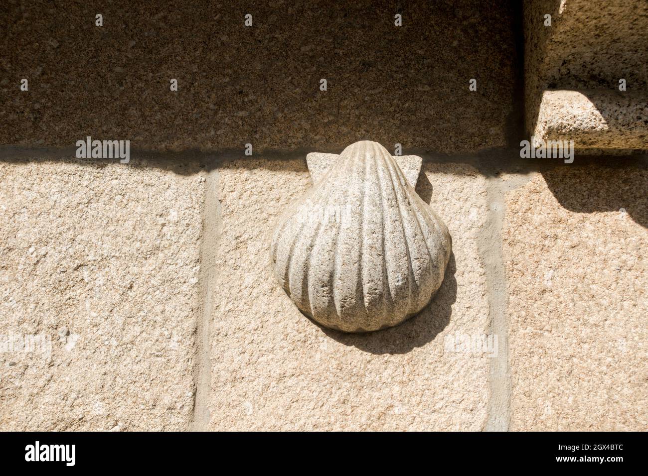 Pilgrim shell, iconic symbol of the Camino de Santiago on wall ...