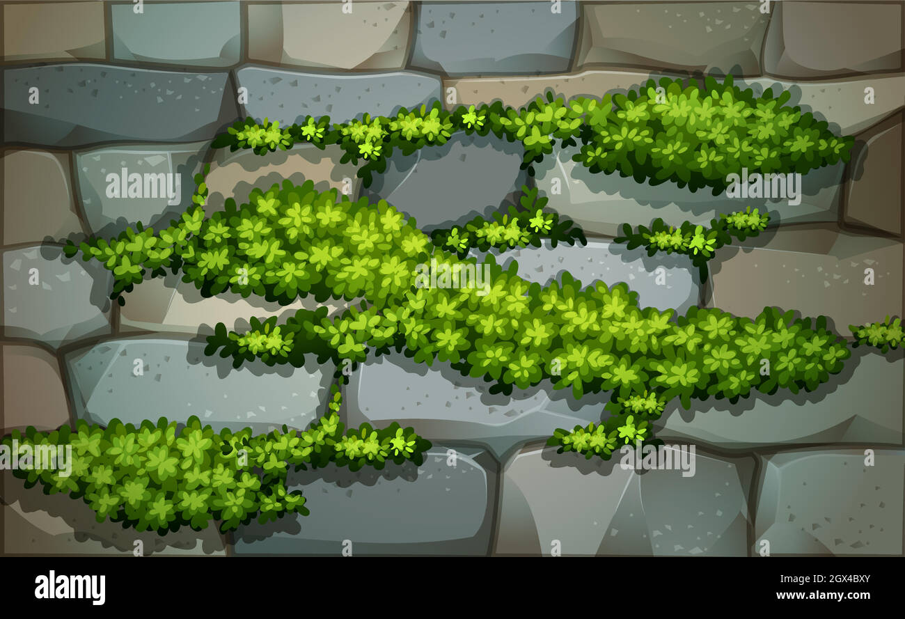 A wall with plants Stock Vector Image & Art - Alamy