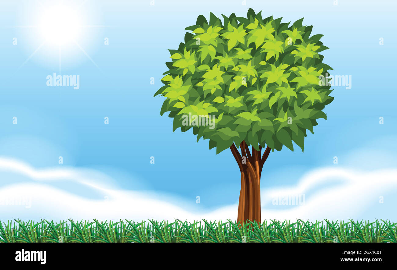 Spring scenery picture Stock Vector Images - Alamy