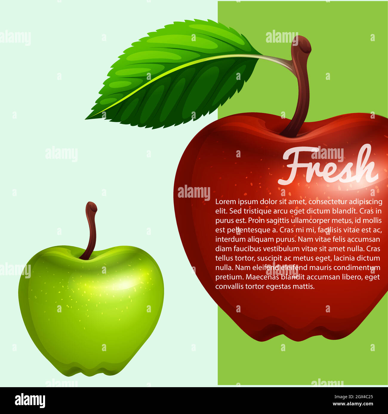 Poster design with fresh apples Stock Vector Image & Art - Alamy