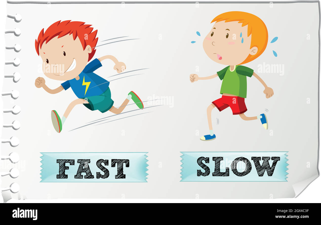 Opposite adjectives with fast and slow Stock Vector Image & Art - Alamy