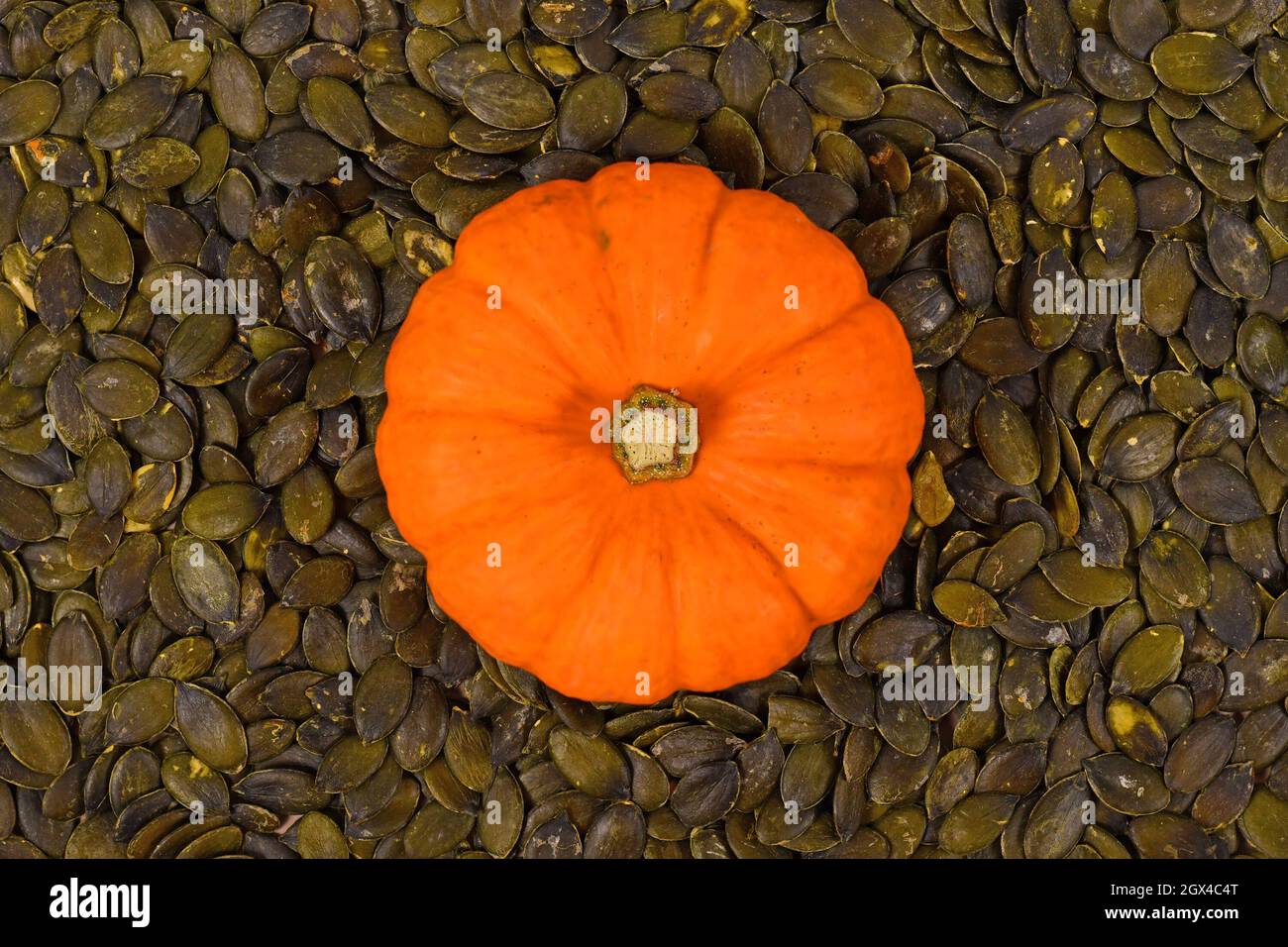 Small round seeds hi-res stock photography and images - Alamy