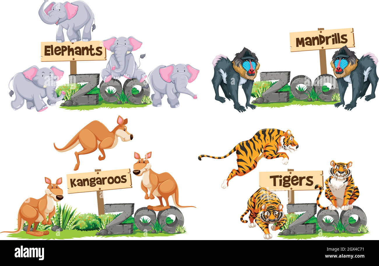 A set of animals and sign Stock Vector Image & Art - Alamy