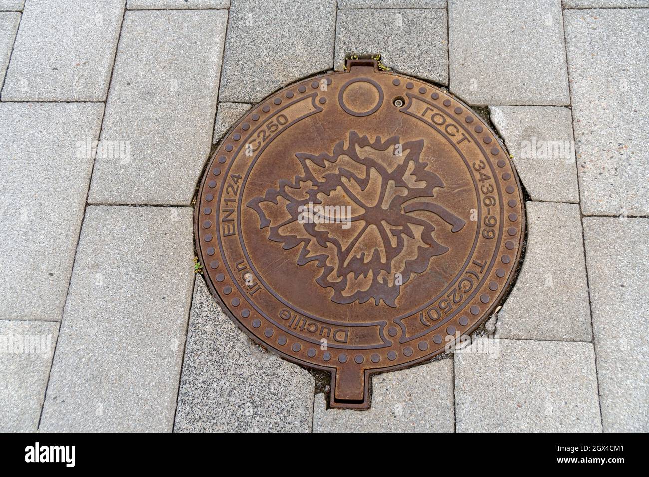 A cast iron manhole cover with embossed maple leaf is positioned on the ...
