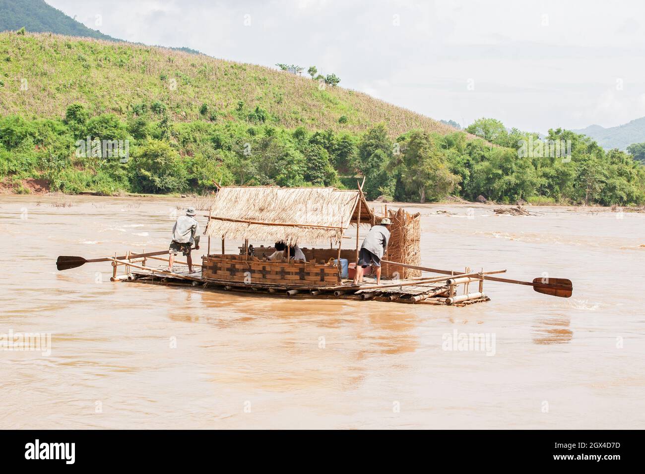 Rafting on the Kok River surrounded by tropical forest and corn ...