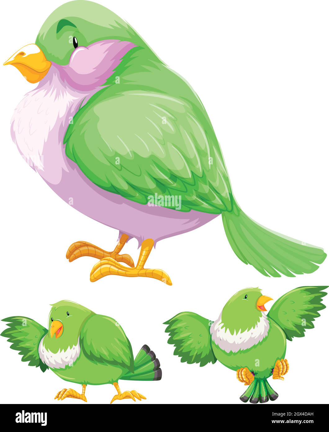 Bird with green background Stock Vector Images - Alamy