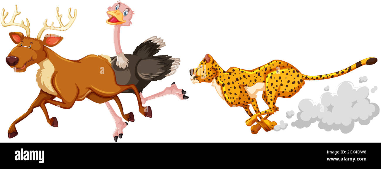 Wild deers in beautiful Cut Out Stock Images & Pictures - Alamy