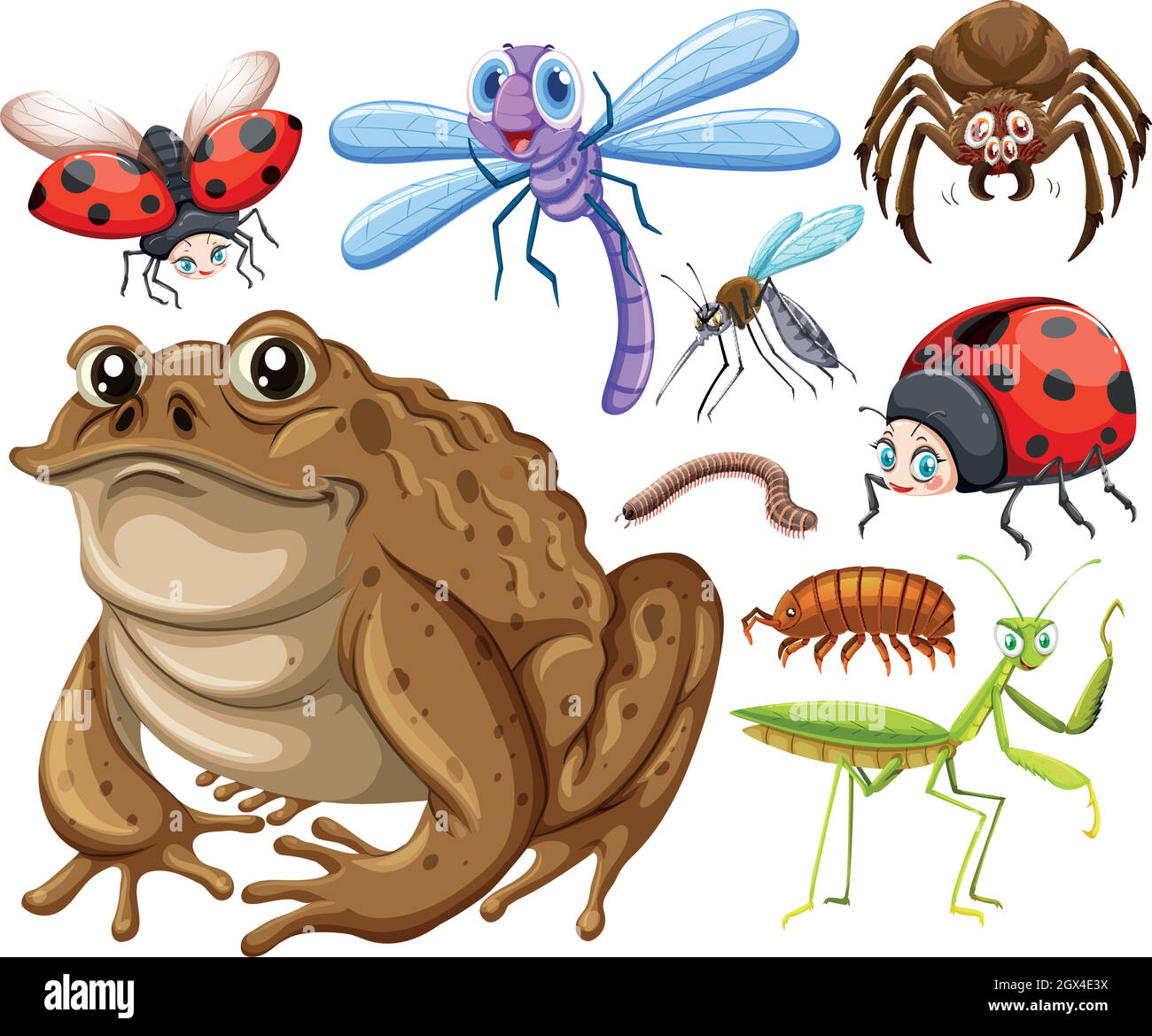 Exotic insects collection Stock Vector Images - Alamy