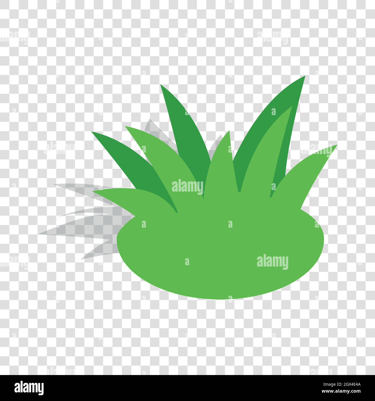 Dwarf shrub botany Stock Vector Images - Alamy