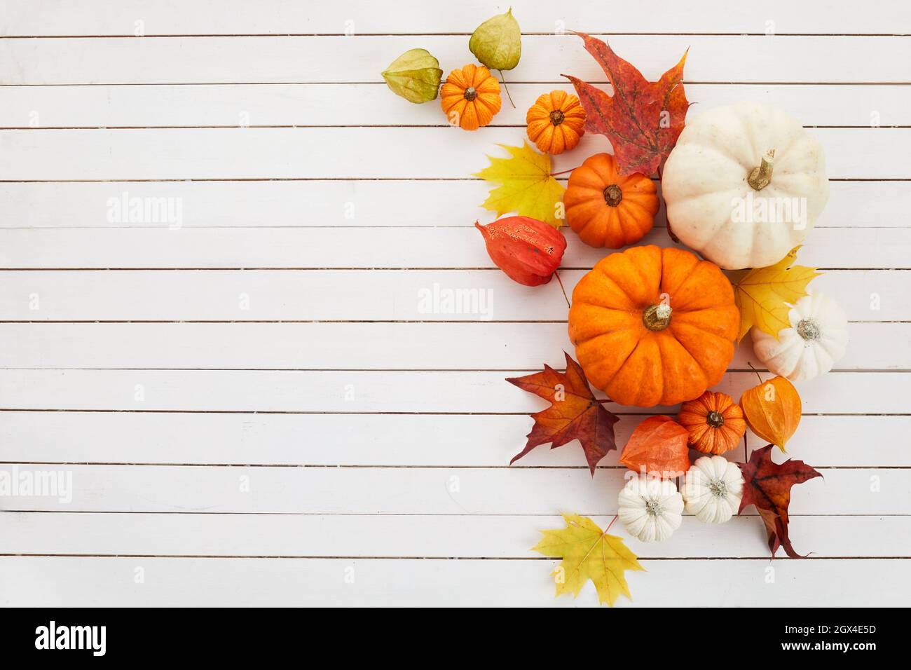 Autumn framework from pumpkins, berries and leaves on a travertine ...