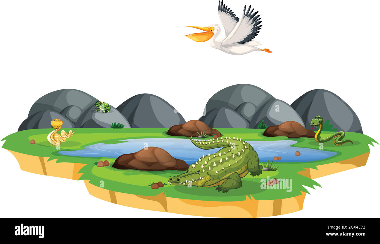 Animal in the Cut Out Stock Images & Pictures - Alamy