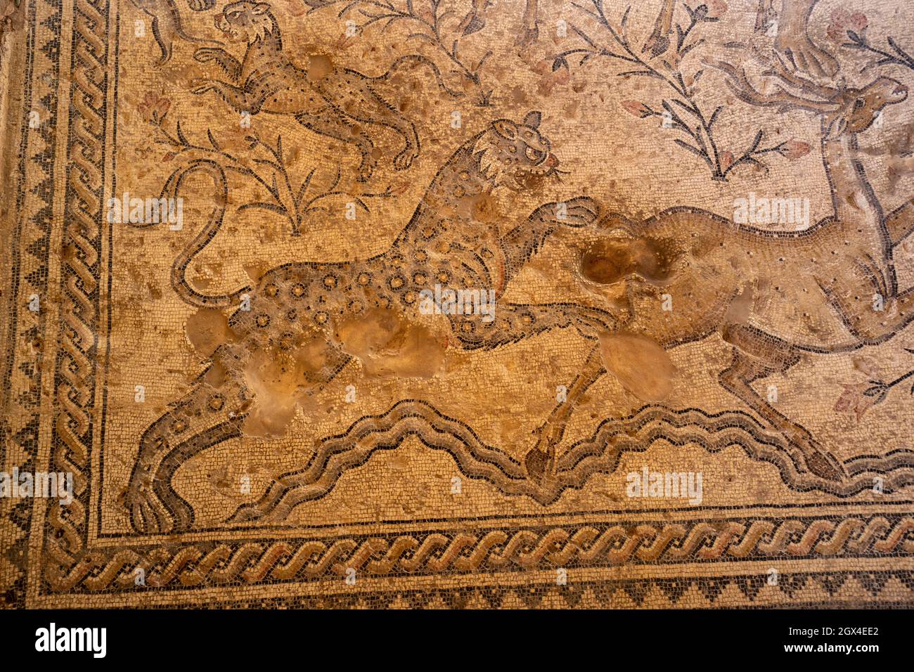 Israel, Lower Galilee, Zippori National Park The city of Zippori ...