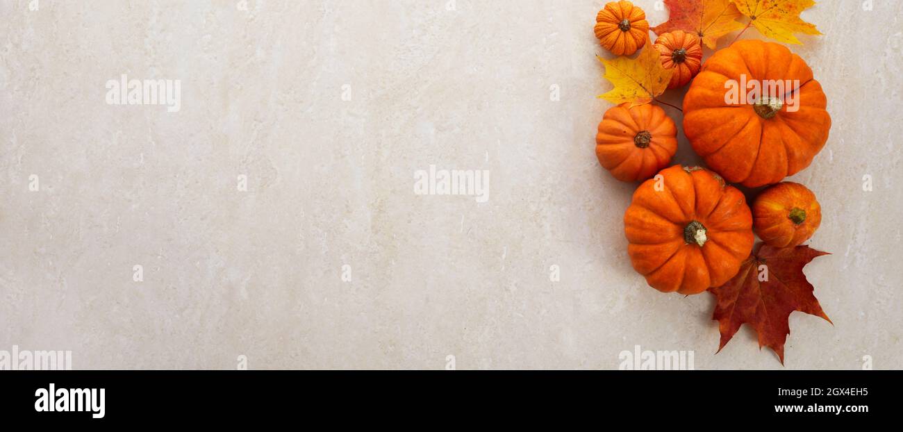 Autumn framework from pumpkins, berries and leaves on a travertine ...