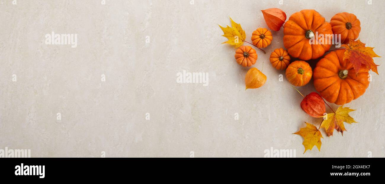 Autumn framework from pumpkins, berries and leaves on a travertine ...