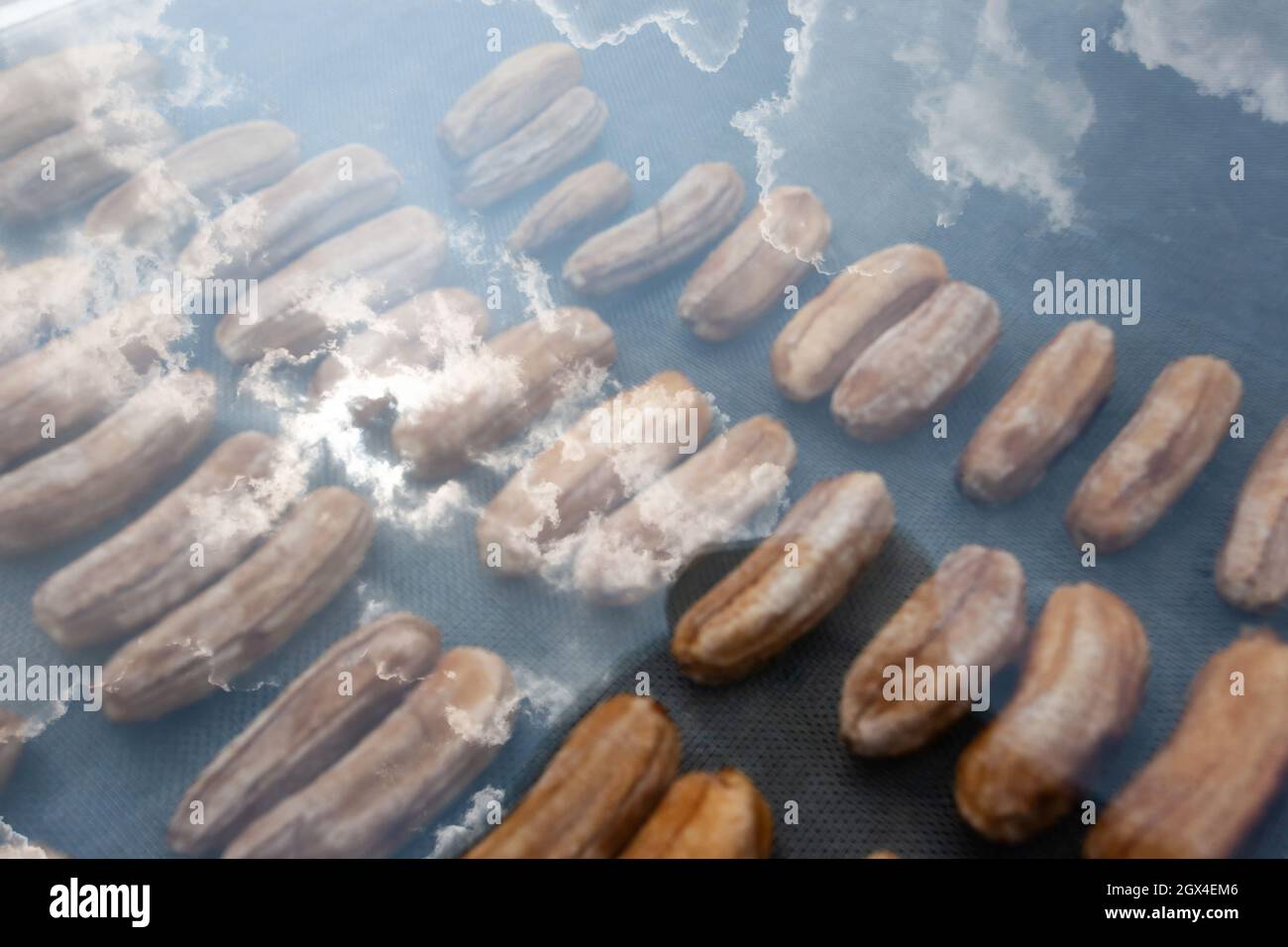 Sun-dried banana fruit in solar dryers in sunlight. Sky and clouds ...
